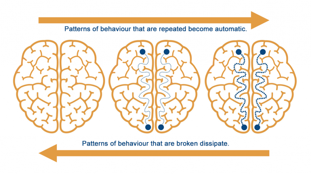 Neuroplasticity - All You Need To Know - CHRISMILLAS.COM