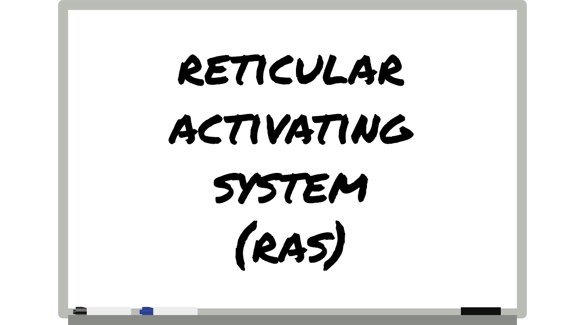 Reticular Activating System (RAS) – Harness The Power Of Focus ...