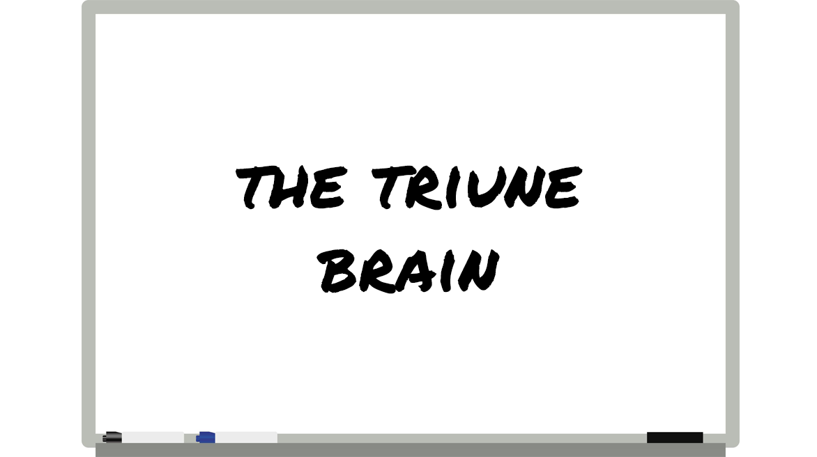 The Triune Brain – CHRISMILLAS.COM