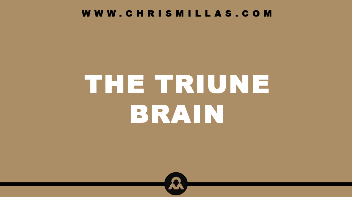 The Triune Brain Explained - All You Need To Know - CHRISMILLAS.COM